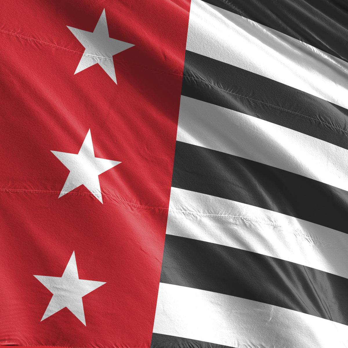 Fictional US Flags – Flagmaker & Print