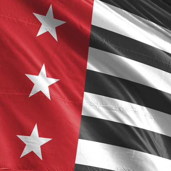 Fictional US Flags – Flagmaker & Print