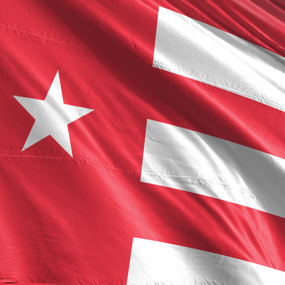 Flag Designs | Flagmaker & Print – Page 485