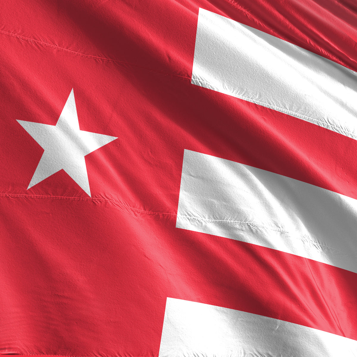 Flag Designs | Flagmaker & Print