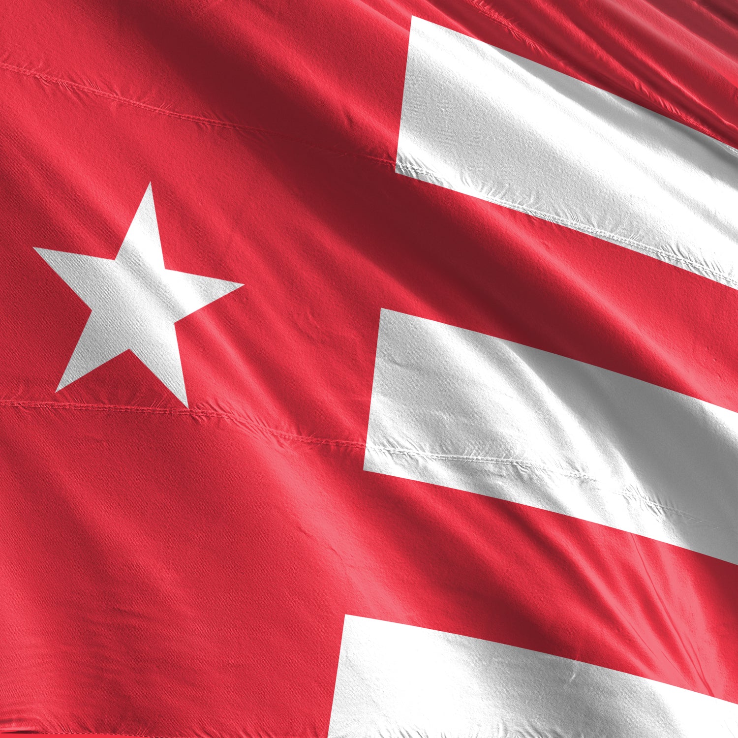 Flag Designs | Flagmaker & Print