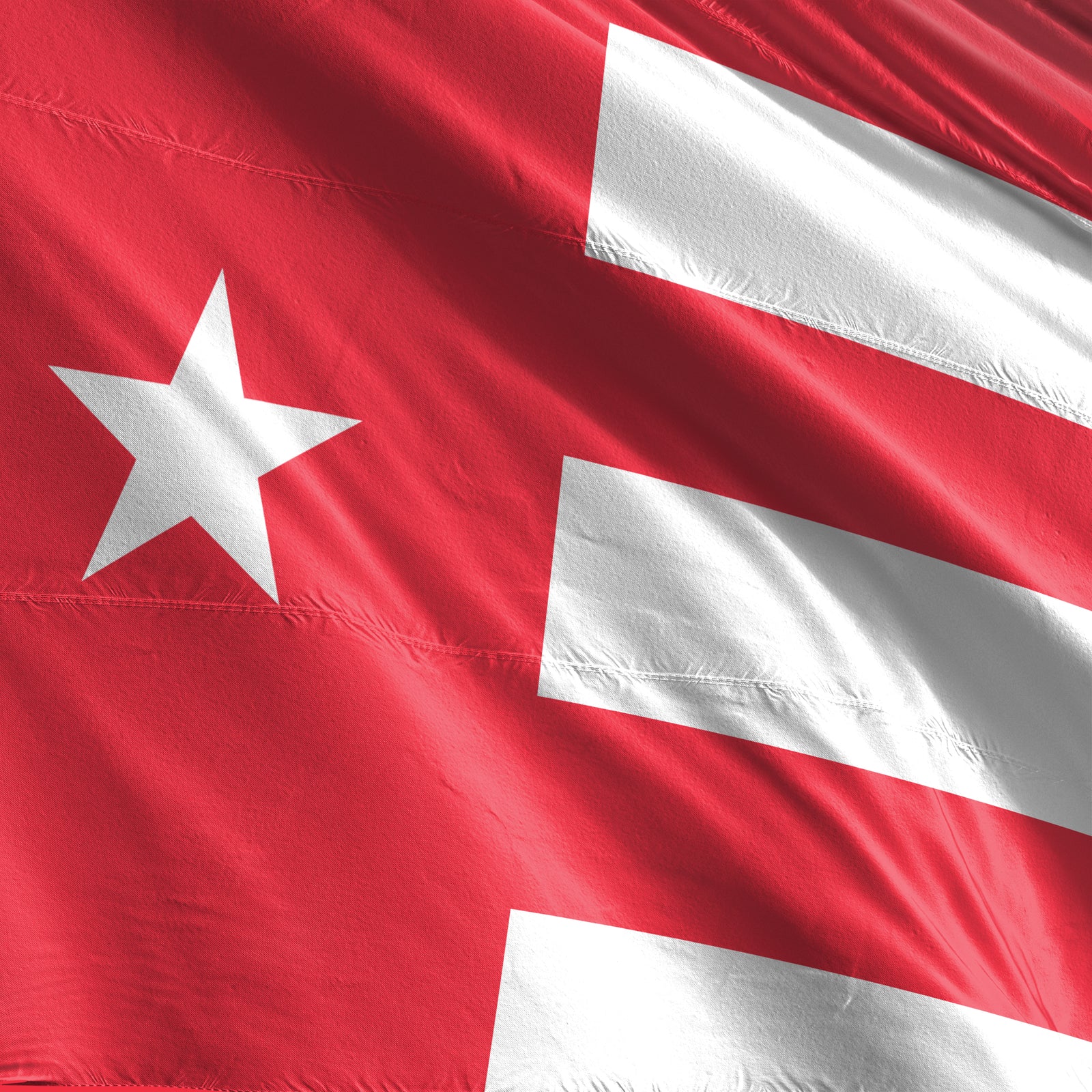 Flag Designs | Flagmaker & Print