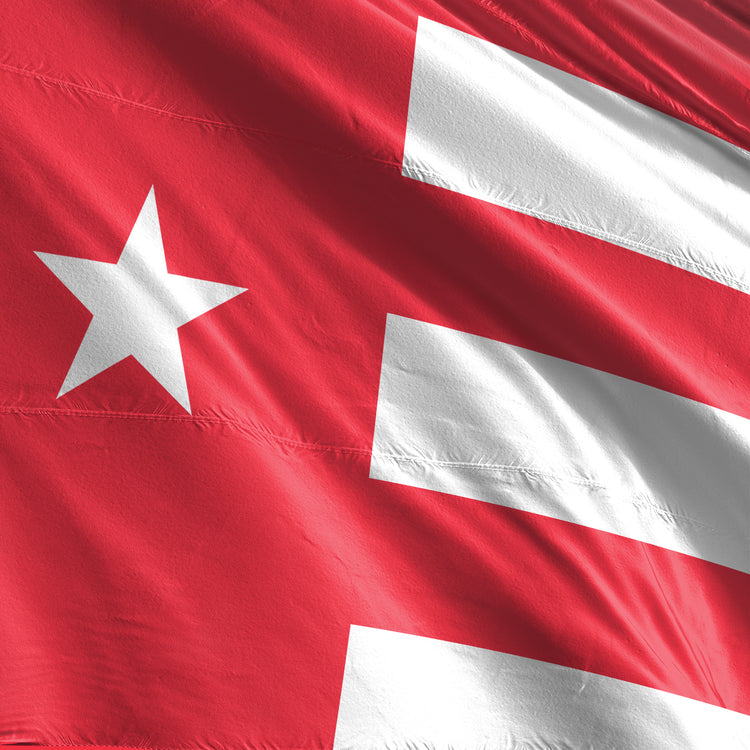 Flag Designs | Flagmaker & Print