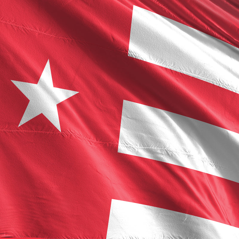 Flag Designs | Flagmaker & Print