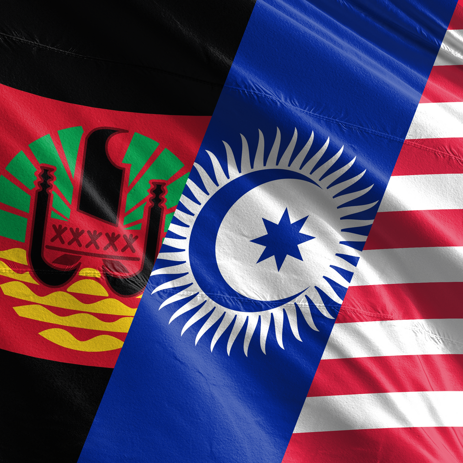 Flag Mashup Bot Flags – Flagmaker & Print