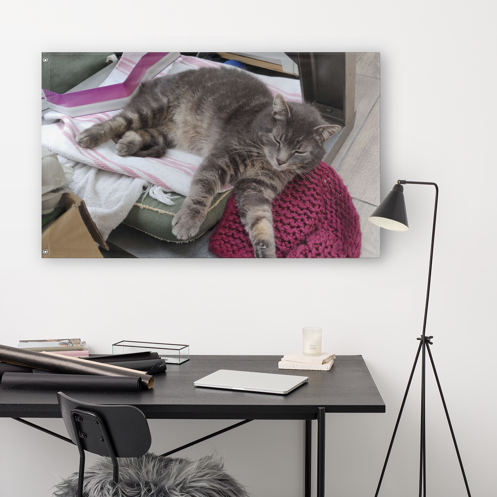 Flagmaker & Print ∼ Flag Designer ∼ Design and Print your own Flags!