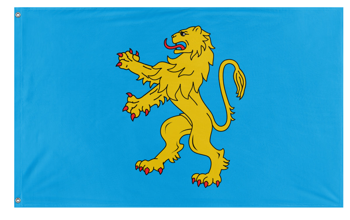 Sheldon Cooper's flag (The Big Bang Theory) – Flagmaker & Print