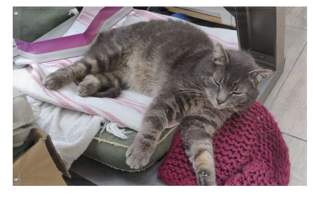 Wilhelm the Kaiser Cat flag (VincentDN) – Flagmaker & Print