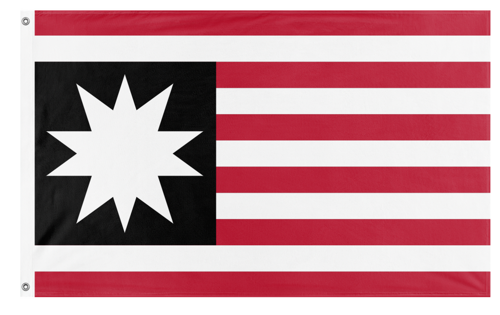 United Americas flag (Alien) – Flagmaker & Print