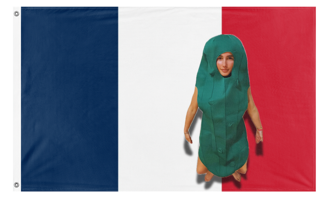 pickle flag (Tomoe) – Flagmaker & Print