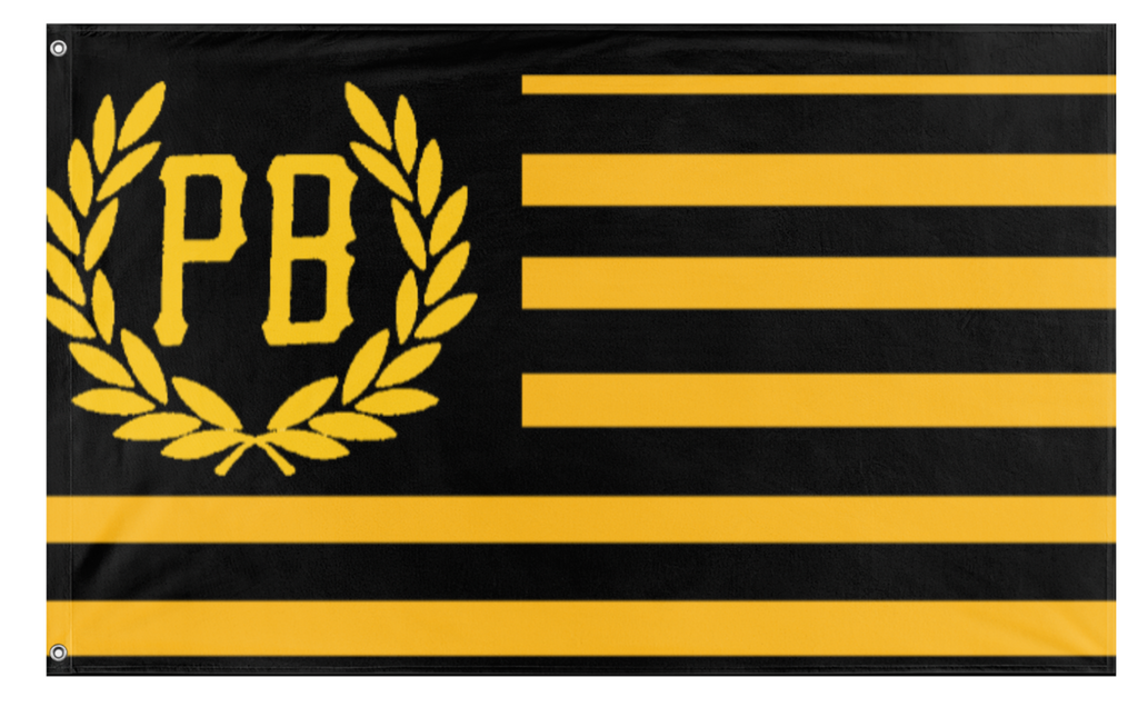 anarco-Capitalist USA flag (DT) – Flagmaker & Print