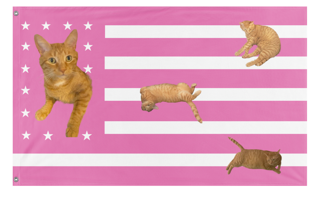 CAT flag (LEO) – Flagmaker & Print