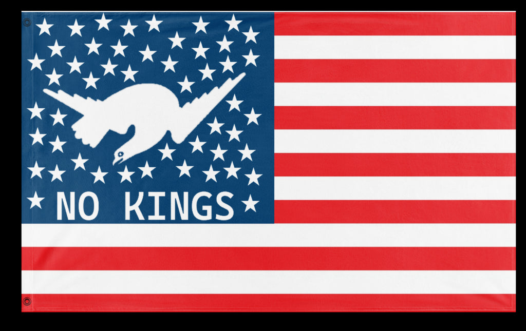 No Kings flag (rev_rend) (Hidden) – Flagmaker & Print