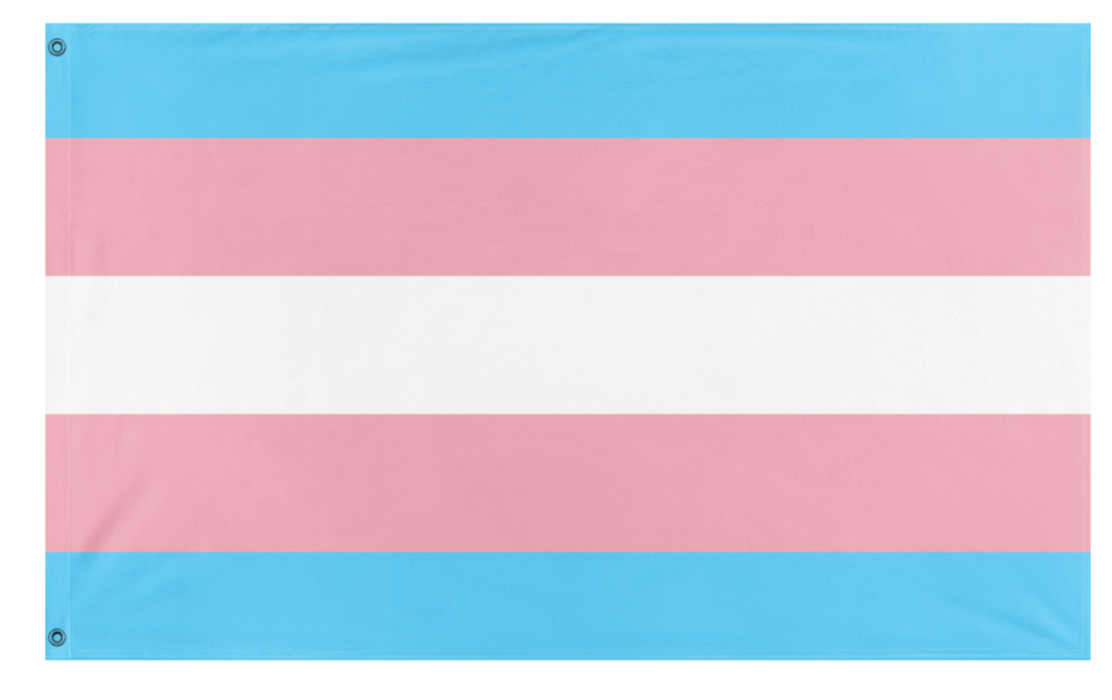 Trans flag (undefined) – Flagmaker & Print
