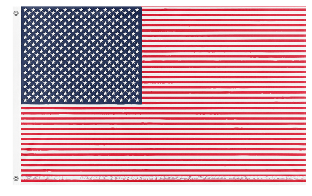 Cursed US flag (The Internet) – Flagmaker & Print