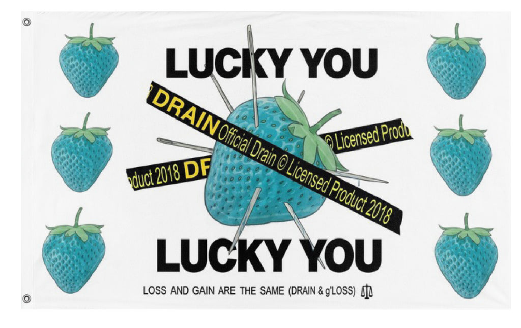 dg flag (dit) (Hidden) – Flagmaker & Print